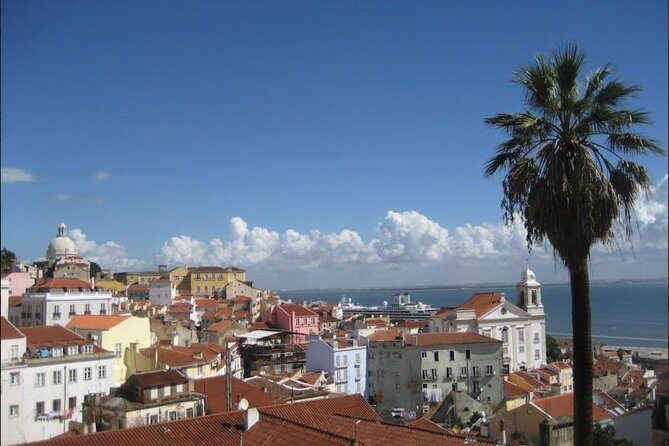 Lisbon walking tailored private tour (half day) - Who Would Love This Tour?