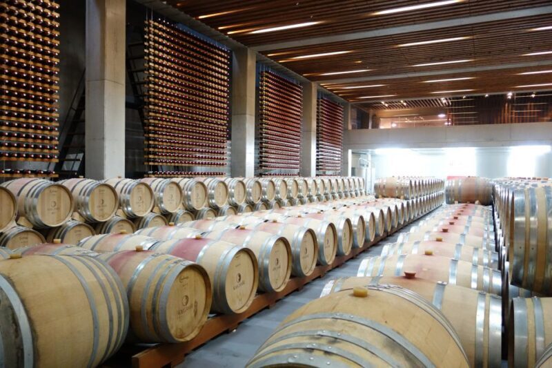 Lisbon Wine Tasting Private Tour - An In-Depth Exploration of the Tour