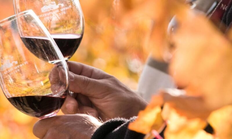 Lisbon Wine Tasting - Key Points