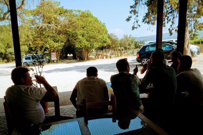 Lisbon´s South Sights & Wine Private Tour - The Sum Up: Is This Tour Right for You?