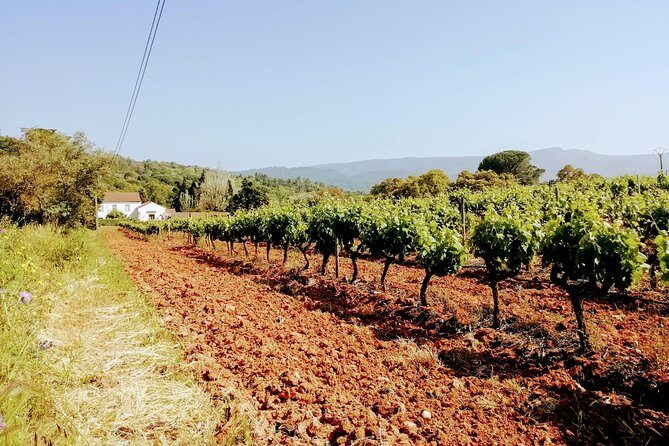 Lisbon´s South Sights & Wine Private Tour - FAQ