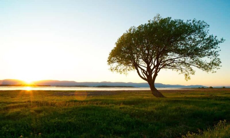 L'Isle-aux-Grues: Secret Islands of St. Lawrence Expedition - Key Points