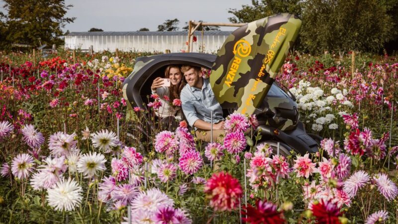 Lisse: Drive-it-Yourself Summer Flower GPS Audio Tour - Final Thoughts: Is It Worth It?
