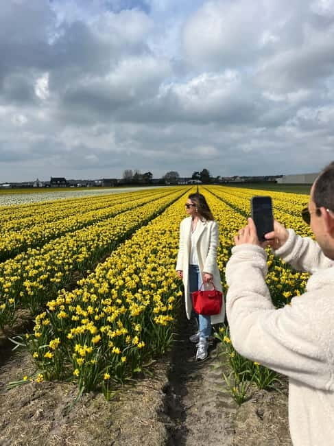 Lisse: Private Tulip Fields Tour with a Local Guide 1h Tour - Who Is This Tour Best Suited For?
