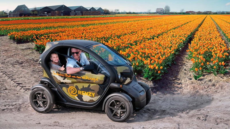 Lisse: Self-Guided Tulip Fields GPS Audio Tour - Key Points