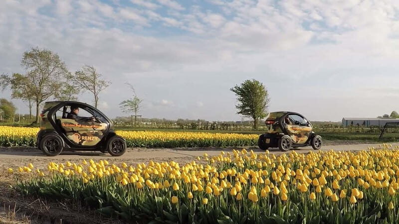 Lisse: Self-Guided Tulip Fields GPS Audio Tour - The Experience in Detail