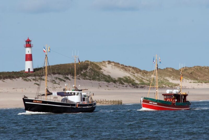 List/Sylt: Guided Seal-Watching Cruise on a Rustic Boat - Who Is This Experience Best For?