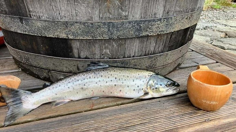 Lister: Inshore Fishing Tour with Local Guide - Final Thoughts