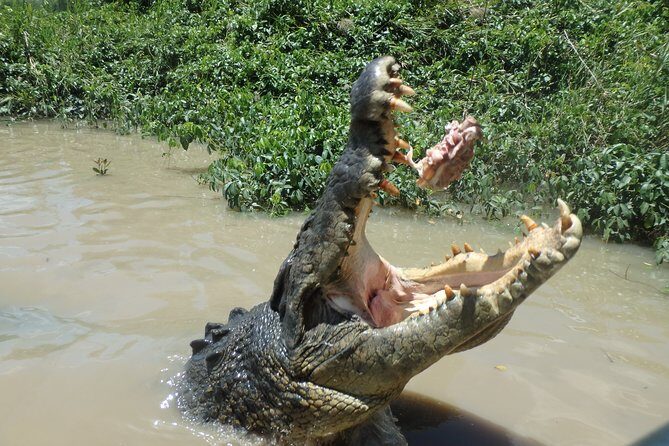 Litchfield and Jumping Crocodiles Full Day Trip from Darwin - Final Thoughts: Is This Tour Right for You?