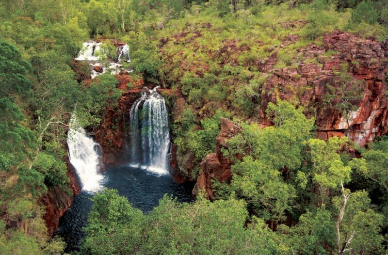Litchfield National Park: Full-Day & Lunch from Darwin - The Practicalities: Transportation, Timing, and Comfort