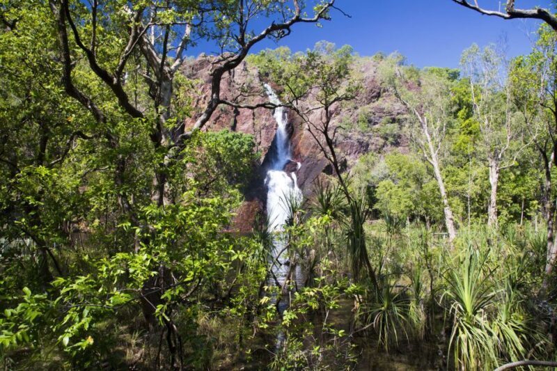Litchfield National Park: Full-Day & Lunch from Darwin - Who Should Consider This Tour?