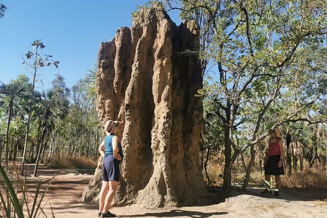 Litchfield Premium Day Tour, 10 guests only, lunch included - Key Points