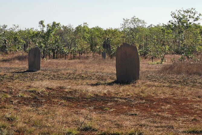 Litchfield Premium Day Tour, 10 guests only, lunch included - Exploring Litchfield: An In-Depth Look at the Tour