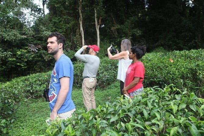 Little Adams peak Trekking with Birds Watching .. - Introduction: A Gentle Introduction to Authentic Hill Country