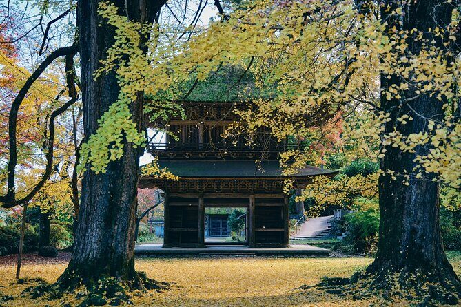 Little Adventure with Cycling in Tokyo No. 1 Crystal Clear River - Frequently Asked Questions