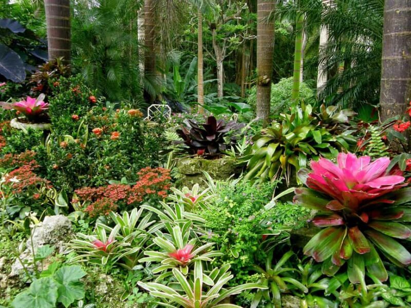 Little England: Half Day Tour in Barbados - A Brief Overview of the Experience