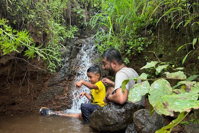 Little Feet Big Trails Parent Child Nature Adventure - Reviews and Feedback