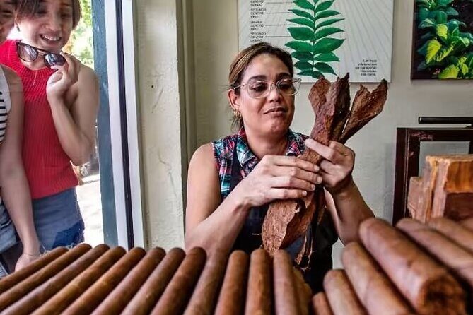 Little Havana Walking Tour + 1 Hour Everglades Airboat Ride - Introduction: A Perfect Blend of Wilderness and Culture