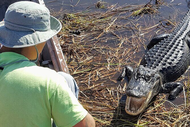 Little Havana Walking Tour + 1 Hour Everglades Airboat Ride - Analyzing Value: Price and Experience