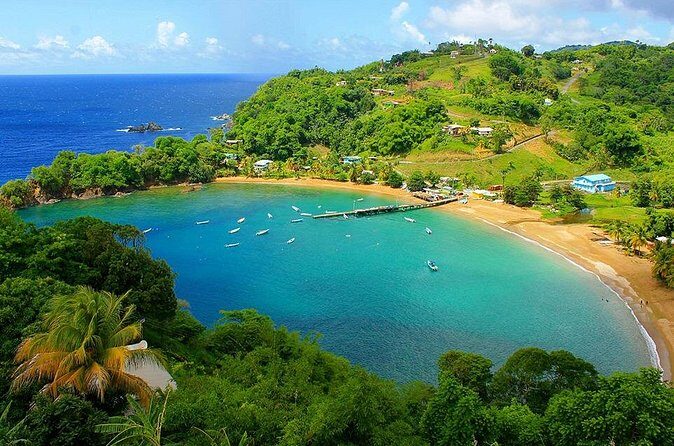 Little Tobago Glass Bottom Boat Tour - The Sum Up: Is It Worth Your Time and Money?