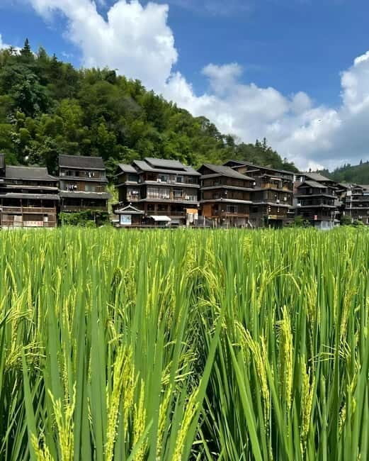 Liuzhou: 2-Day Dong Heritage Tour - The Experience Provider: ChinaTravelVip