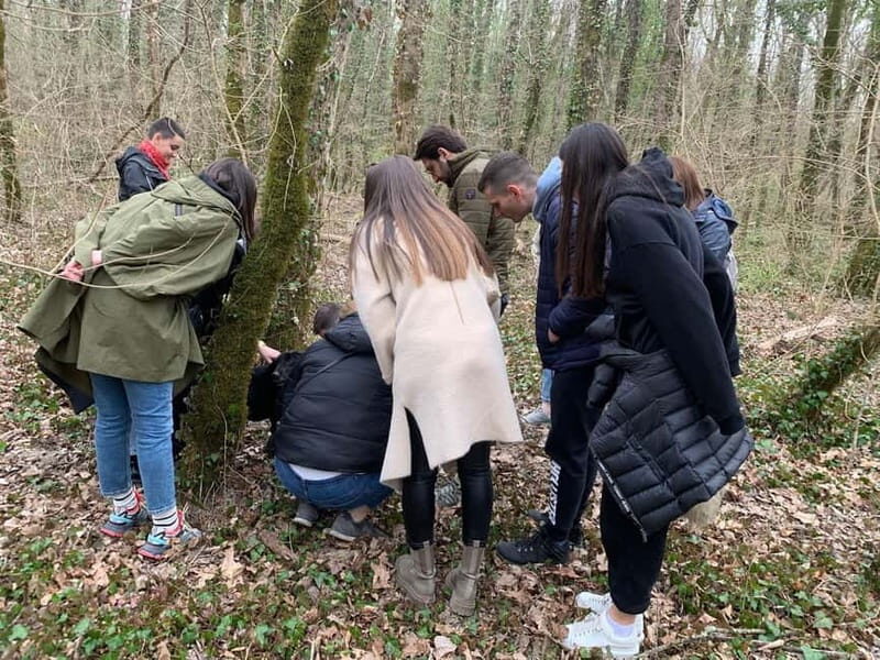 Livade: Guided Truffle Hunting Walking Tour - What Reviewers Are Saying