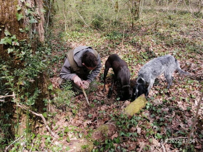 Livade: Guided Truffle Hunting Walking Tour - FAQs