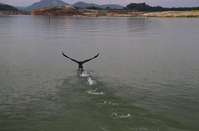 Live among swimming elephants and indigenous tribes  Gal Oya National Park - Who Should Consider This Tour?