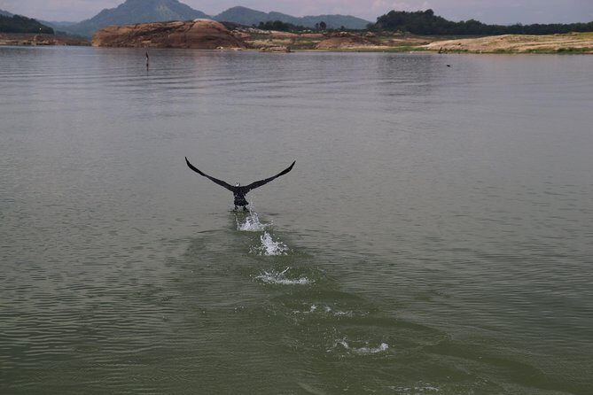 Live among swimming elephants and indigenous tribes  Gal Oya National Park - FAQ