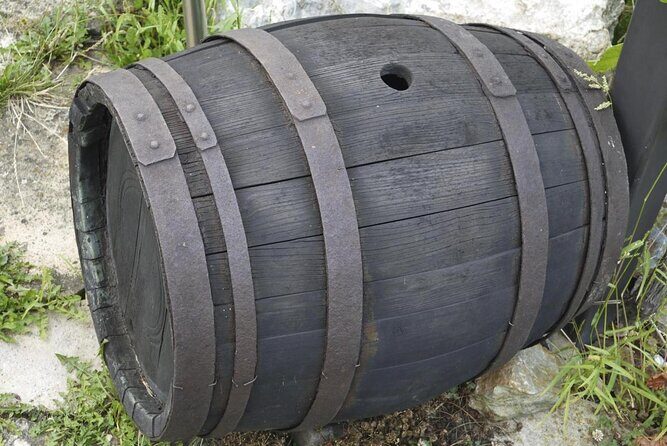 Live in the cider house, the tradition of the txotx. - Key Points