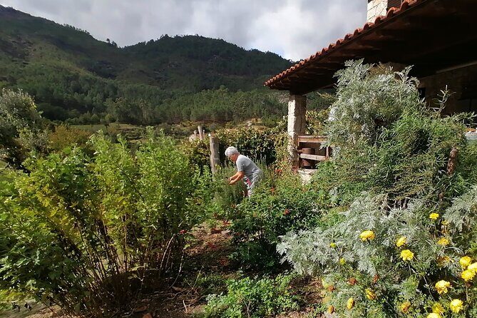 Live like a local - 3-Day Experience in Gerês Mountain with Local Food Tasting - FAQs