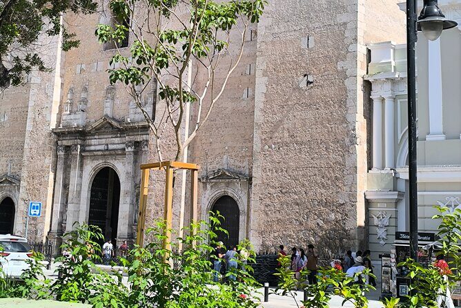 Live Like Local in Real Merida - FAQ