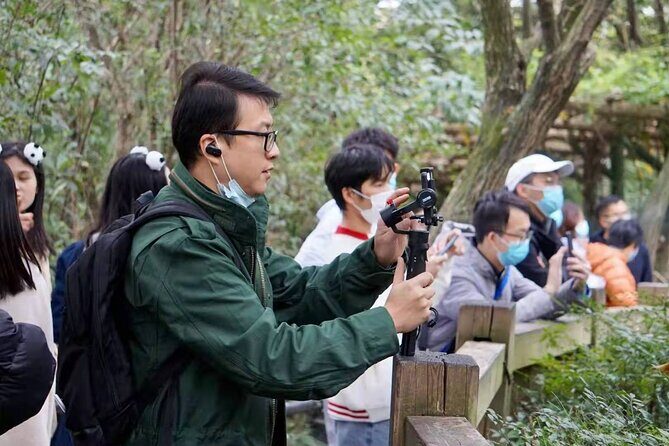 LIVE Streaming: Meet Pandas at Chengdu Research Base of Giant Panda Breeding - Who Should Consider This Tour?
