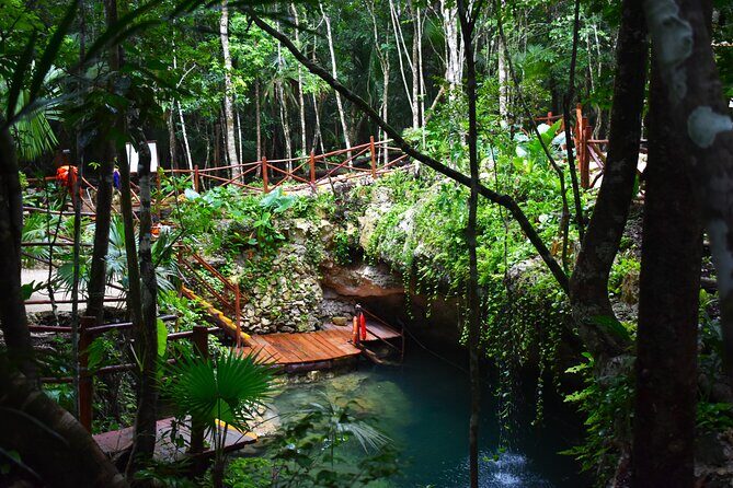 Live the adventure in 3 cenotes in the jungle! - Exploring the Riviera Maya’s Hidden Gems
