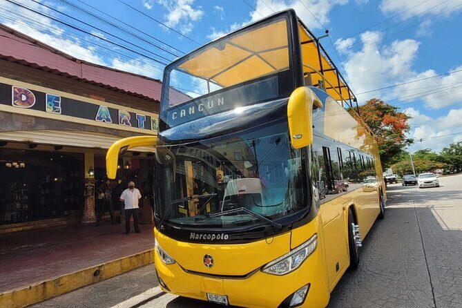 Live the Cancun City Experience! Round Transportation from Cancun - The Sum Up