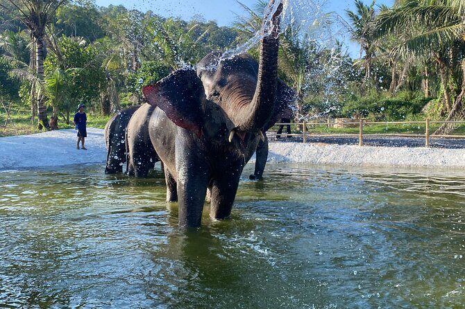 Living Green Elephant Sanctuary Experience near Bangkok & Pattaya - Key Points