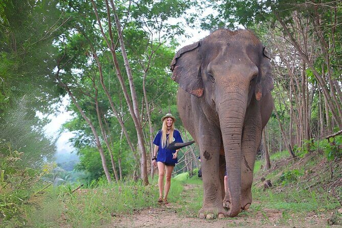 Living Green Elephant Sanctuary Tour from Bangkok and Pattaya - Key Points