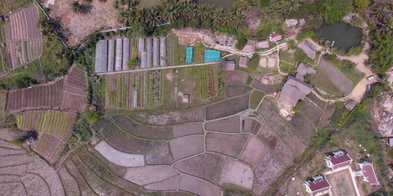 Living Land Farm Rice Experience - An Authentic Peek into Laos’ Rice Farming Life