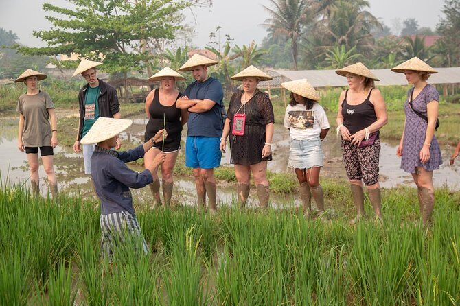 Living Land Rice Farming Experience - The Sum Up