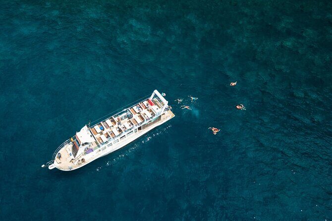 Living Sea Boat Trip in Madeira from Funchal - Practical Details & Tips