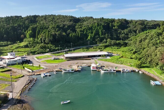 Living with the Sea Noto Fermentation Culture - Key Points