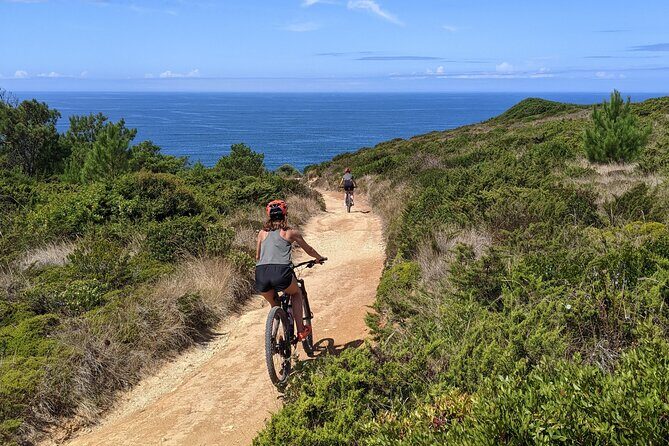 Lizandro Trails - Mountain Biking - An In-Depth Look at the Lizandro Trails Mountain Biking Tour
