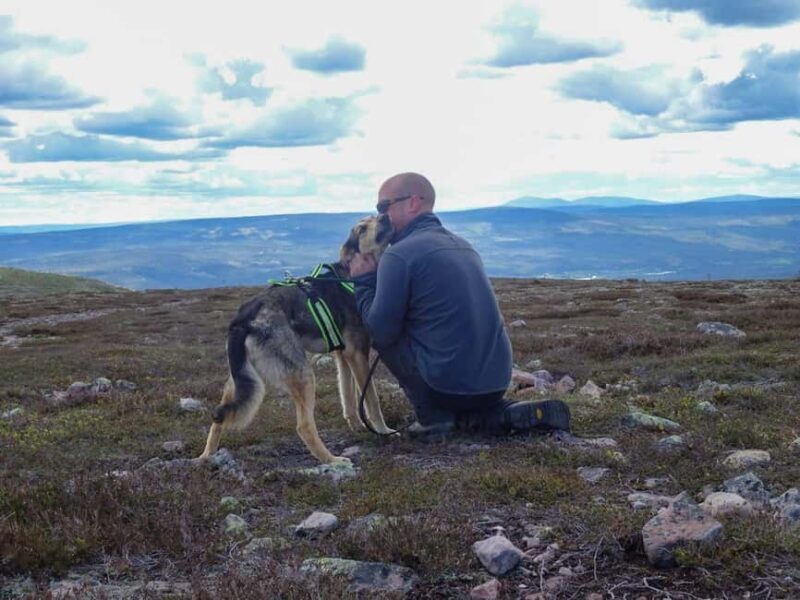 Ljørdalen - Trysil: Husky Hike with Campfire and lunch! - Is the Price Worth It?