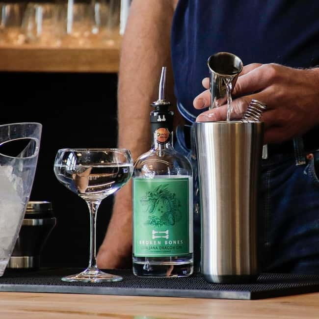 Ljubljana: Broken Bones Gin Experience with Cocktails - Overview of the Broken Bones Gin Experience