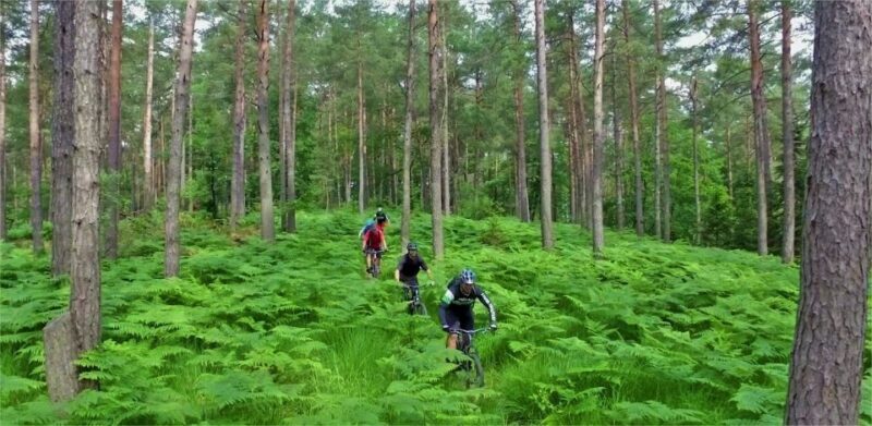 Ljubljana: City Center and Golovec Trails Mountain Bike Tour - Introduction: A Thrilling Blend of Nature and City