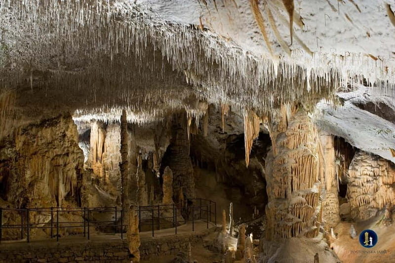 Ljubljana: Postojna Cave and Predjama Castle Tour - The Itinerary: A Deep Dive