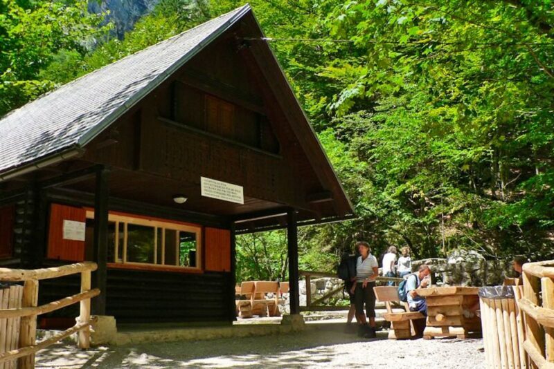 Ljubljana: Savica Waterfall, Lake Bohinj, and Lake Bled Tour - Who Will Love This Tour?