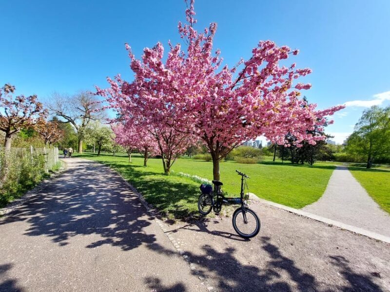 Ljubljana Sightseeing Tour by E-bikes - FAQ: Practical Questions about the Ljubljana E-bike Tour