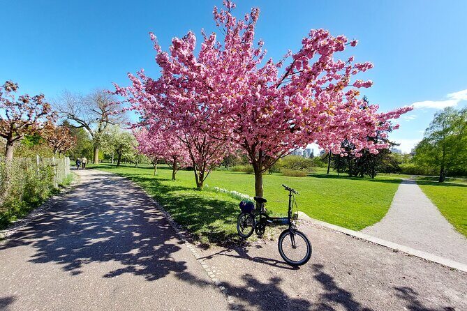 Ljubljana Sightseeing Tour by Electric Bikes - The Sum Up: Is This Tour Right for You?