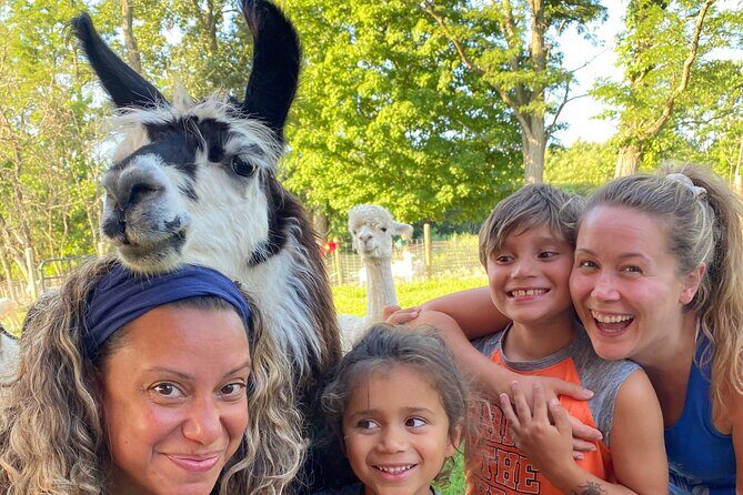 Llama/Alpaca Hike and Farm Tour - Final Thoughts: Who Should Consider This Tour?